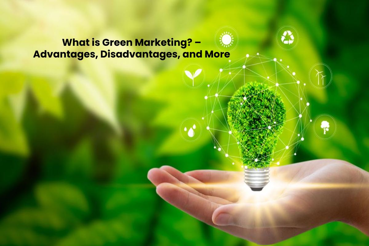 What is Green Marketing? – Advantages, Disadvantages, and More